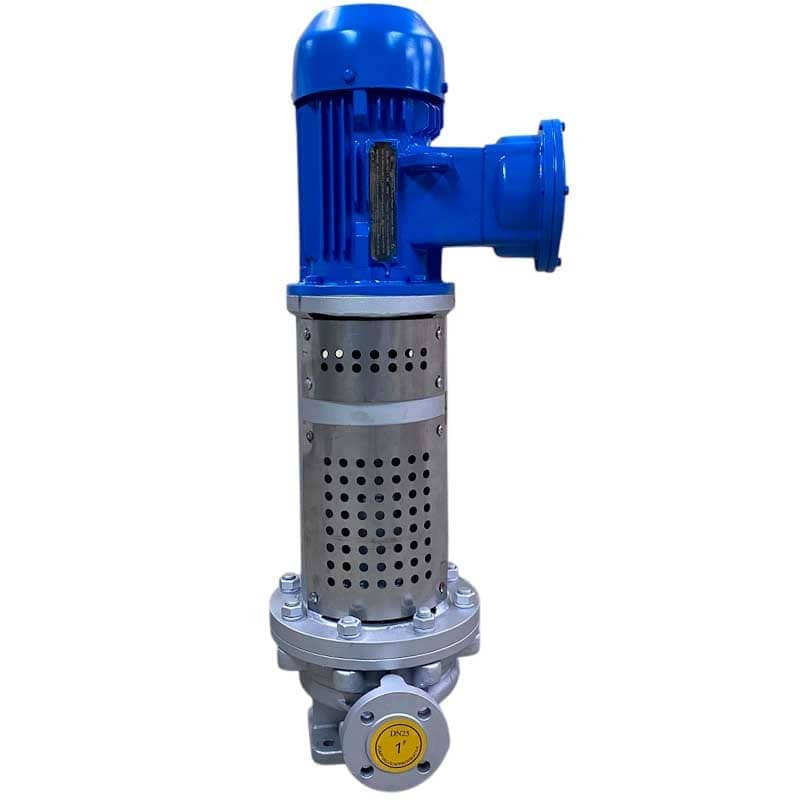 Buy Vertical heat oil pump for bitumen heating LQLRY25-25-170/2-CEX, 4 ...