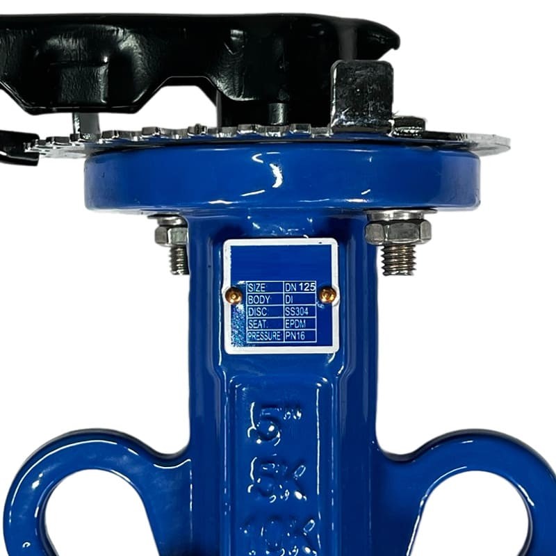 Buy PN16 DN125 Butterfly valve, cast iron body, AISI 304 disc, Seat ...