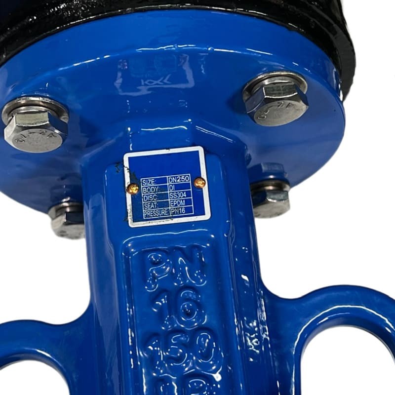 Buy PN16 DN250 Butterfly valve, cast iron body, AISI 304 disc, Seat ...
