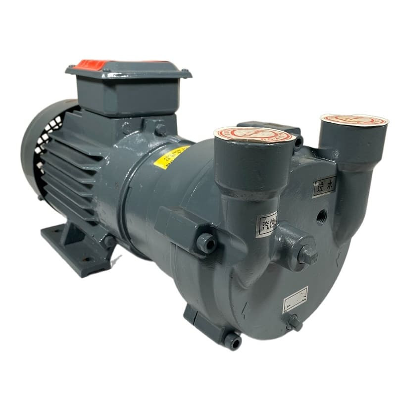 Buy Vacuum pump 2BV2061 (AISI 316) — Sealing.com.ua