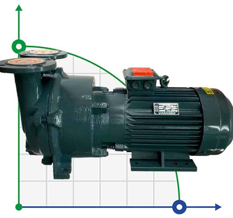 Buy Vacuum pump 2BV5121 (AISI 316) — Sealing.com.ua