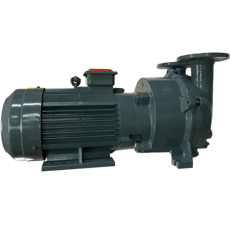 Buy Vacuum pump 2BV5121 (AISI 316) — Sealing.com.ua