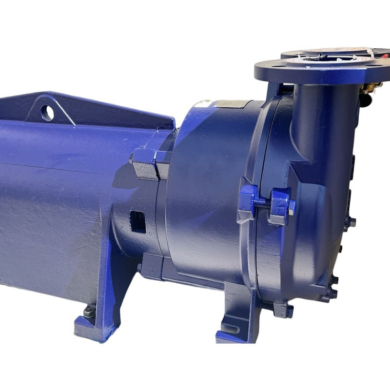 Buy Vacuum pump 2BV5131 Ex — Sealing.com.ua