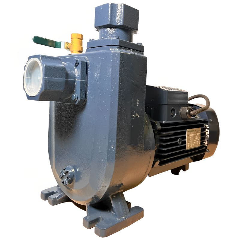 Buy BXZ 22-40-3kW self-priming pump, 2900, 380V, imp:AISI 304 — Sealing ...