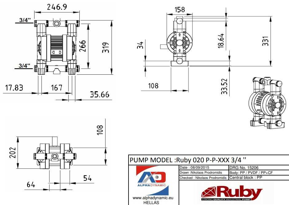Buy RUBY 020P-P-EPT-E pneumatic diaphragm pump — Sealing.com.ua