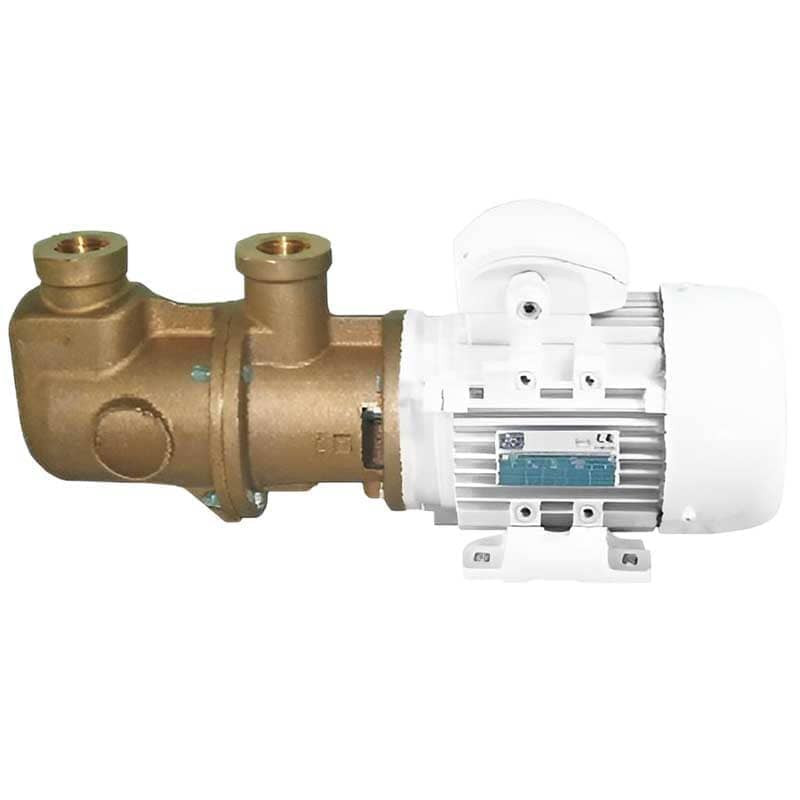 Buy Bronze screw pump for pumping viscous and oily liquids LIVERANI MO ...
