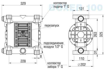 Buy The pneumatic diaphragm pumps BOXER 100 PP IB100P-HTTPV-- — Sealing ...