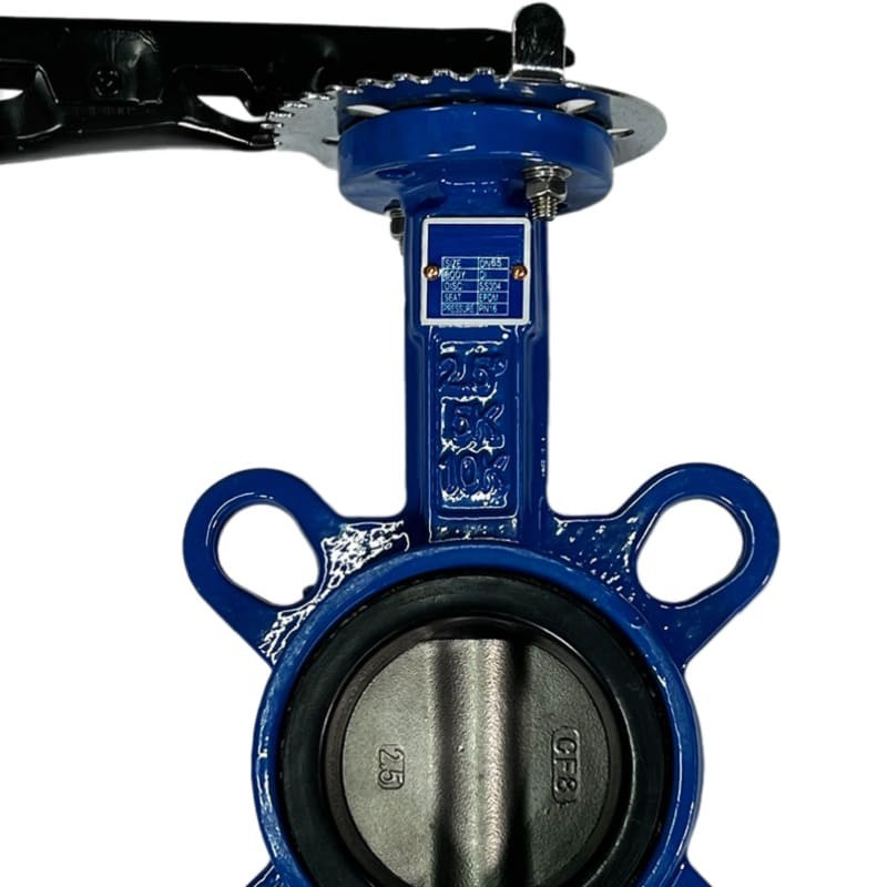 Buy PN16 DN65 Butterfly valve, cast iron body, AISI 304 disc, Seat EPDM ...